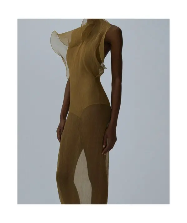 Magda Butrym Organza Gown