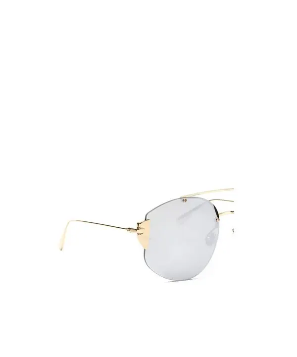 Dior Stronger Sunglasses
