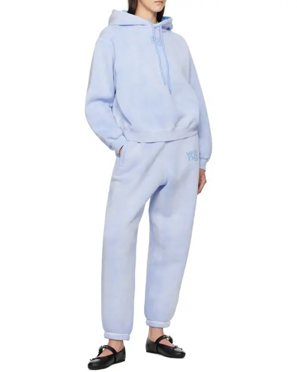 Alexander Wang Essential Hoodie - Light Blue