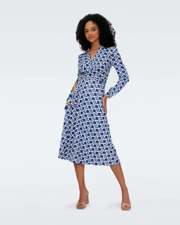 Diane Von Furstenberg Print Dress