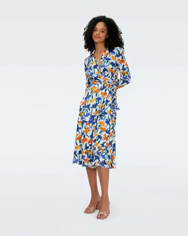 Diane Von Furstenberg Floral Print V-neck Wrap Dress