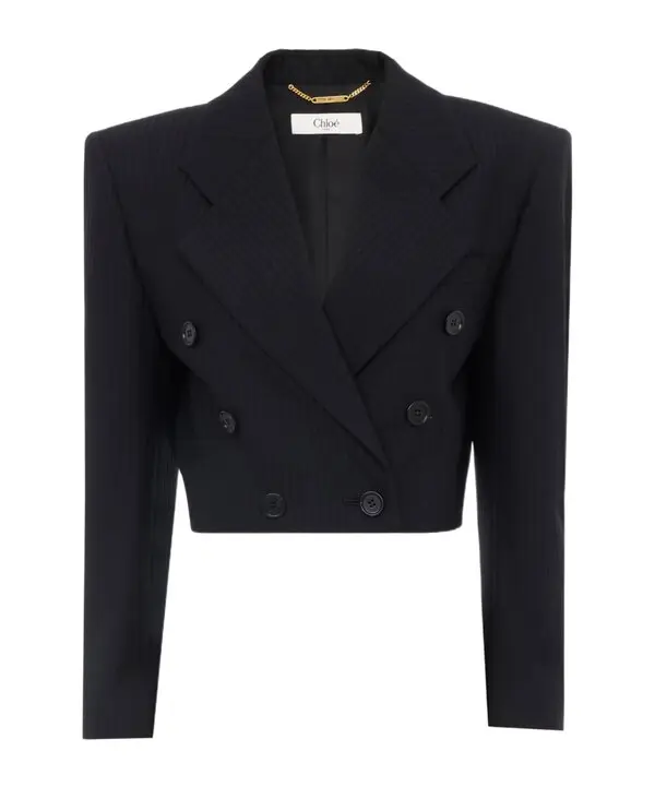 Chloé Spencer Striped Button Blazer