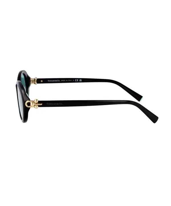 TIFFANY  CO. Tiffany & Co. Oval Sunglasses