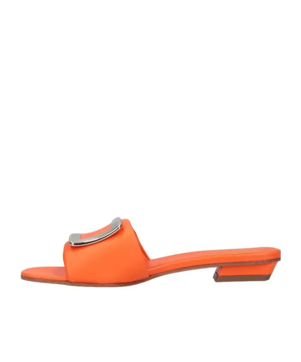 ROGER VIVIER Belle Vivier Metallic Buckle Mules
