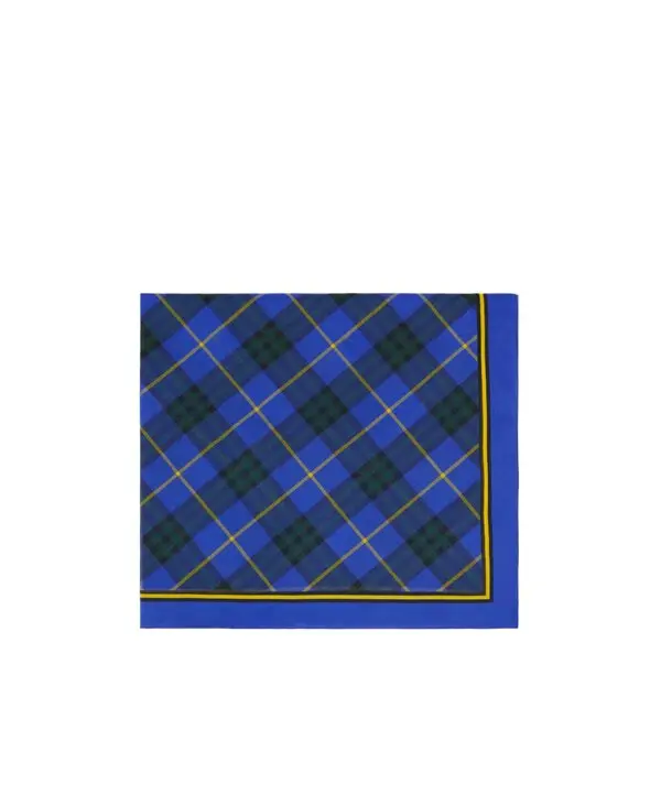 Burberry Checked Scarf - Blue
