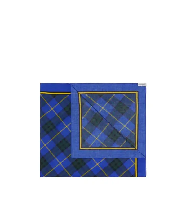 Burberry Checked Scarf - Blue