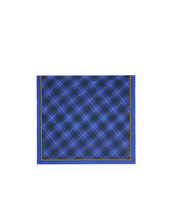 Burberry Checked Scarf - Blue