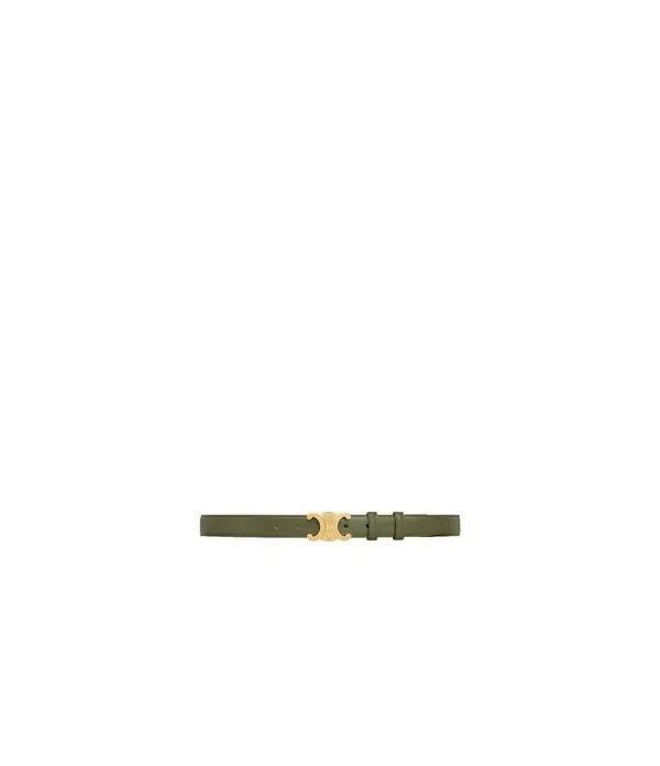 Celine Medium Triomphe Belt In Taurillon Leather - Green