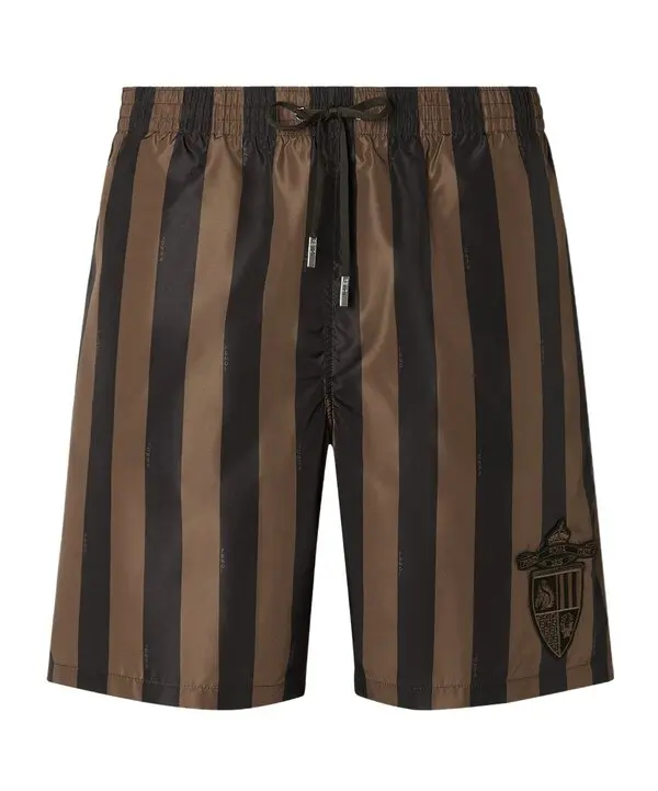 Fendi Striped Drawstring Swim Shorts - Brown