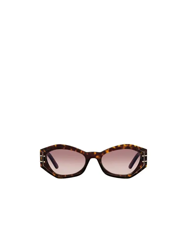 Dior Signature B1u Sunglasses - Dark Brown