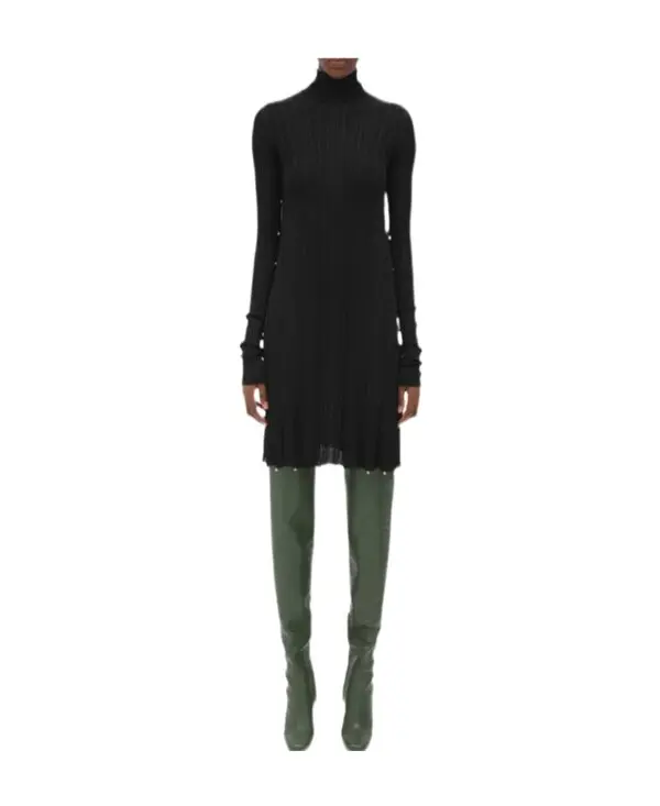 Bottega Veneta Long-sleeved Pleated Dress