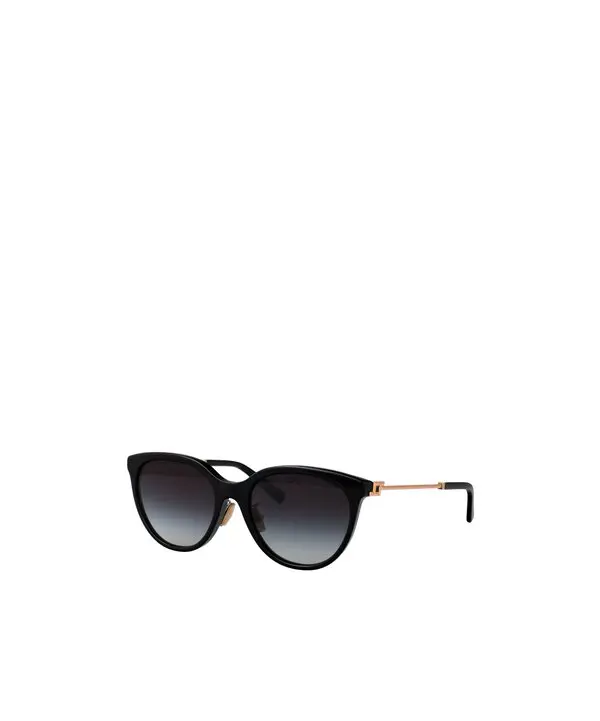 TIFFANY  CO. Tiffany & Co. Full Frame Sunglasses