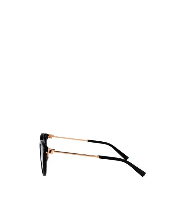 TIFFANY  CO. Tiffany & Co. Full Frame Sunglasses
