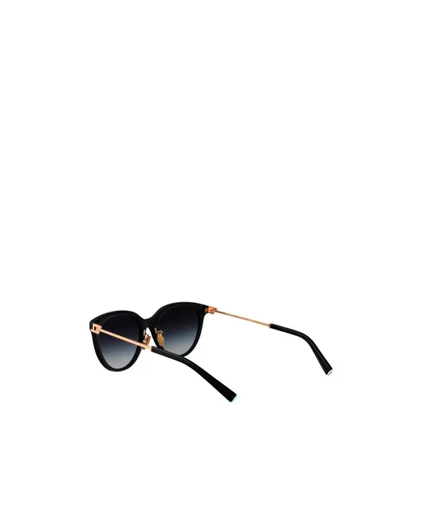 TIFFANY  CO. Tiffany & Co. Full Frame Sunglasses