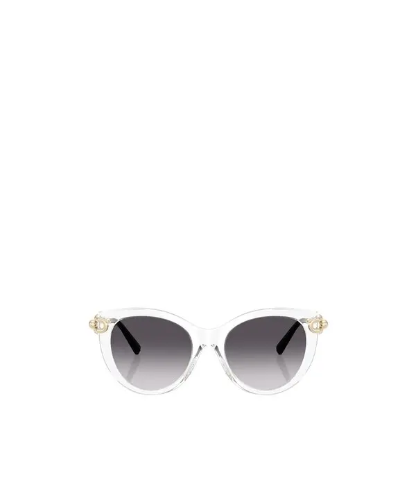 TIFFANY  CO. Tiffany & Co. Full Frame Sunglasses