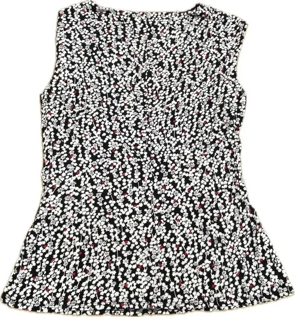 Max Mara Sleeveless Graphic Print Round Neck Dress
