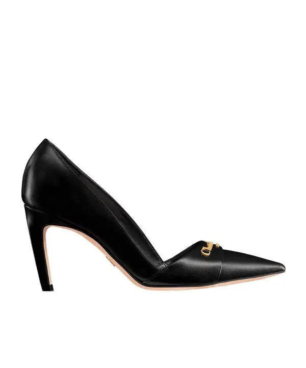 Dior Pointed Toe Pumps With Gold Tone Detailing