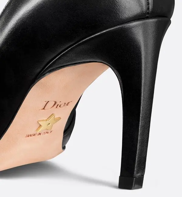 Dior Pointed Toe Pumps With Gold Tone Detailing