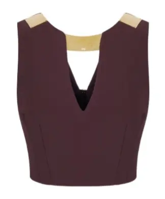 Elisabetta Franchi V-neck Cropped Top With Embellished Shoulders