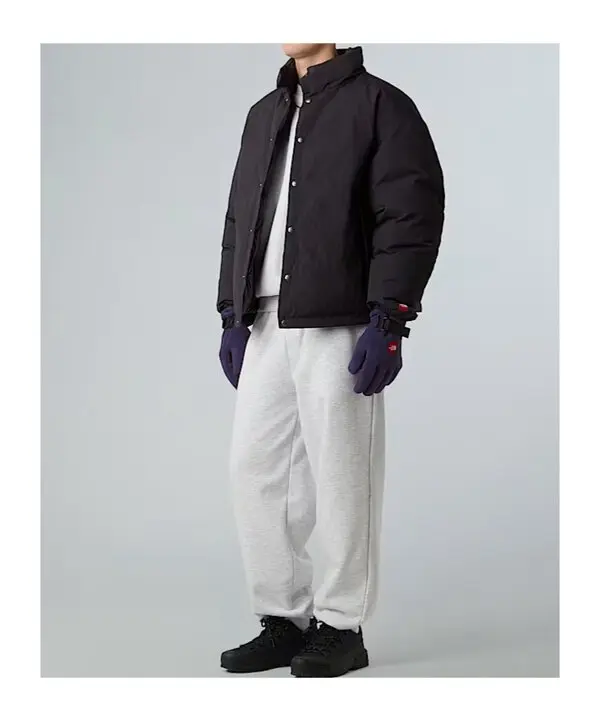 The North Face Red Box Series Down Jacket With Stand Collar - Obsidian