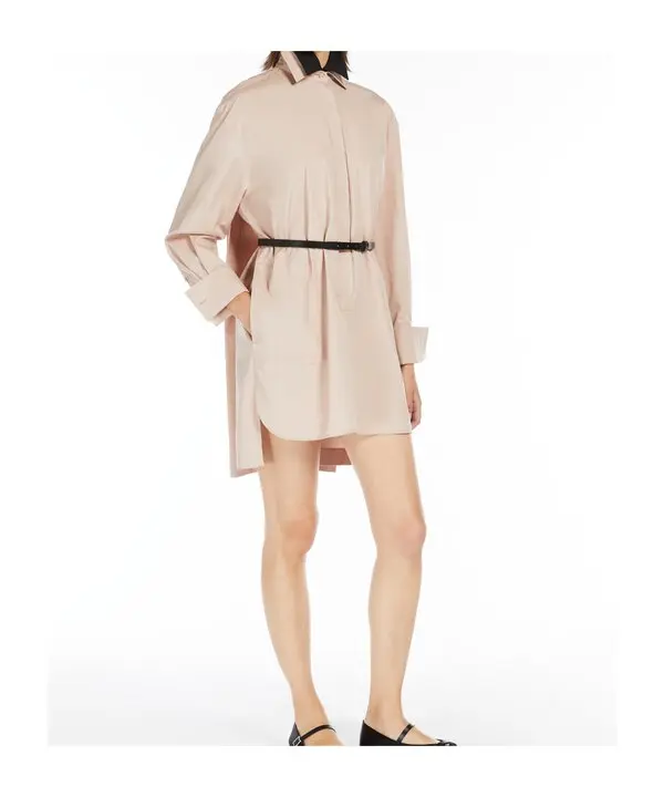 Max Mara Alcade Shirt Dress