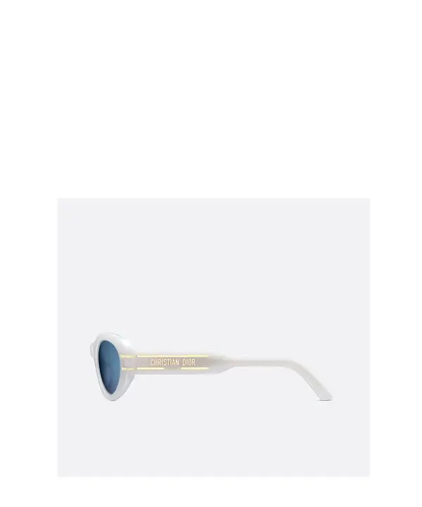 Dior Signature B8u Sunglasses