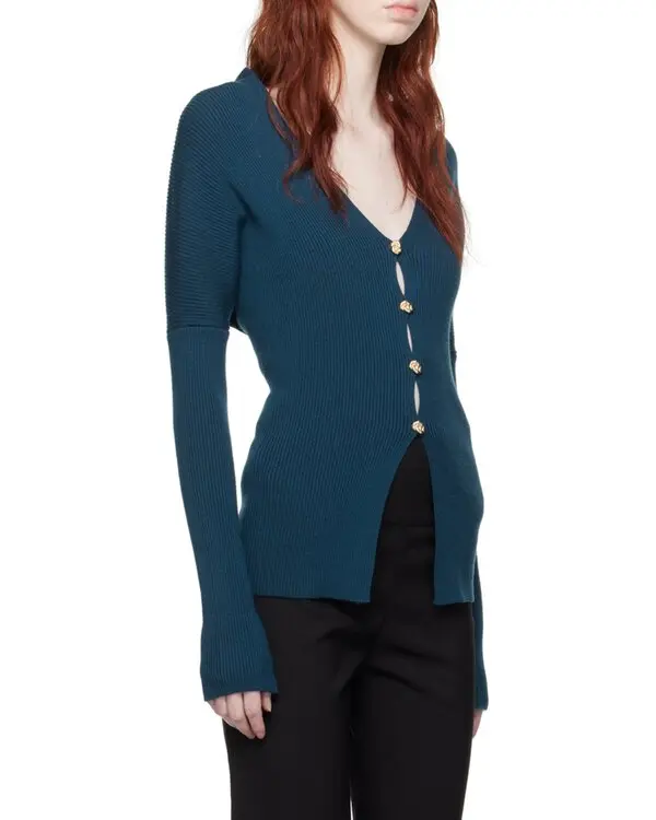 LANVIN V-neck Buttoned Long-sleeve Cardigan - Blue