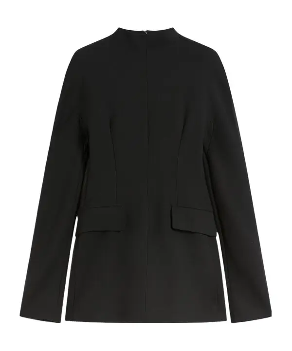 Sportmax Tefrite Long-sleeved Mini Dress - Black