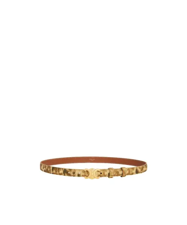 Celine Small Triomphe Belt In Triomphe Canvas