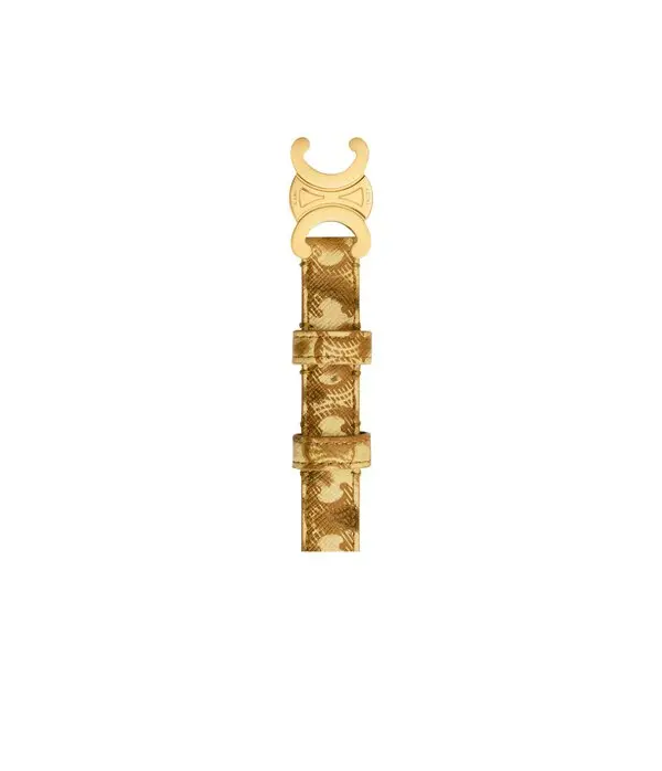 Celine Small Triomphe Belt In Triomphe Canvas