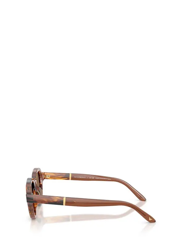 Emporio Armani Full Rim Sunglasses