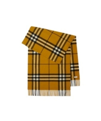 Burberry Checked Fringed-edge Scarf - Teak Color