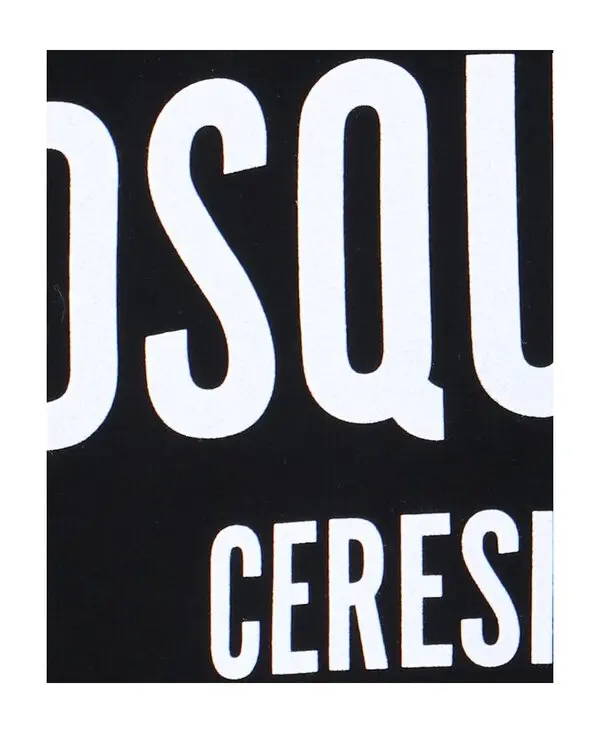Dsquared2 Logo Printed Crewneck Sweatshirt - Black