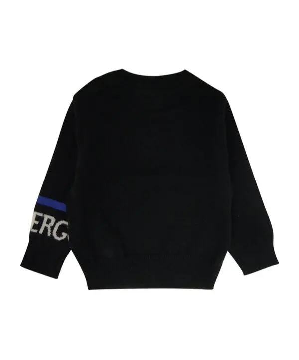 Iceberg Long-sleeved Sweater