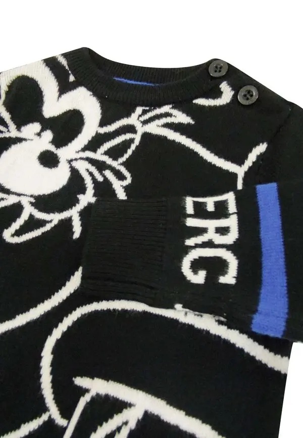 Iceberg Long-sleeved Sweater