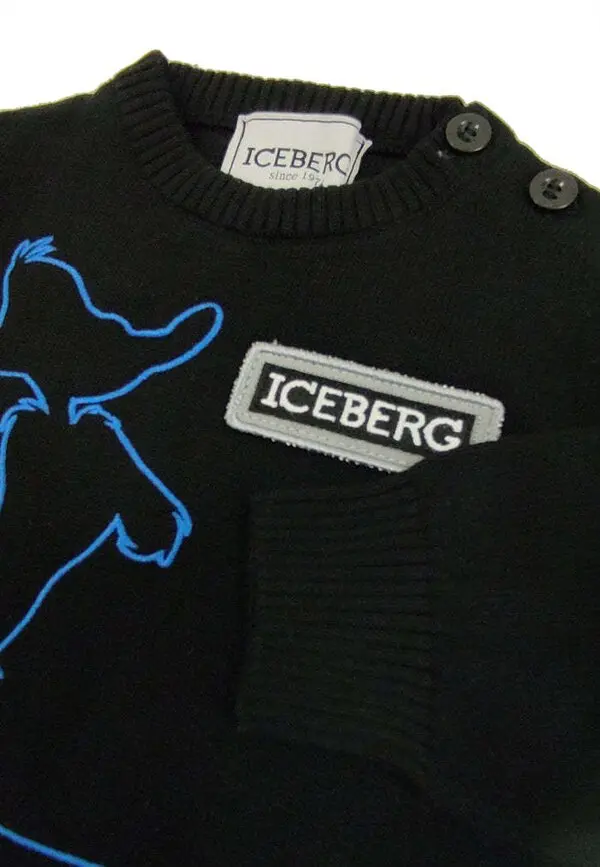Iceberg Long Sleeve Sweater