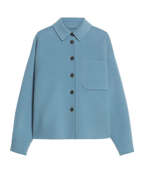 Max Mara Buttoned Long-sleeve Jacket With Pointed Collar
