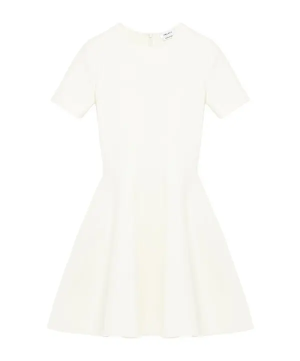 Alexander McQueen Fit And Flare Mini Dress