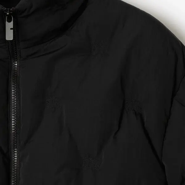 Burberry High-neck Puffer Jacket