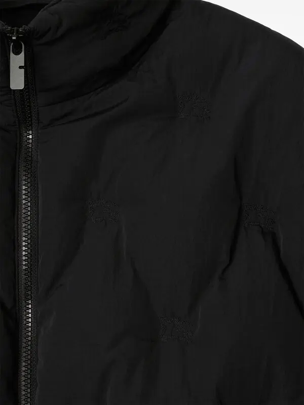 Burberry High-neck Puffer Jacket