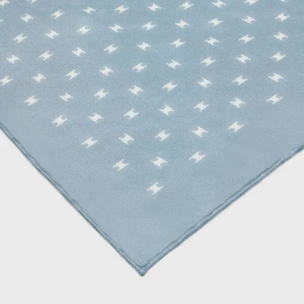 Celine Square In Triomphe Silk Twill - Blue
