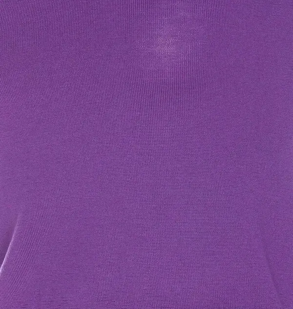 Sportmax High Neck Sleeveless Jumper - Purple