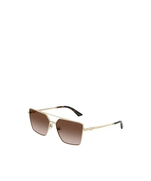 JIMMY CHOO Full Rim Sunglasses - Nude