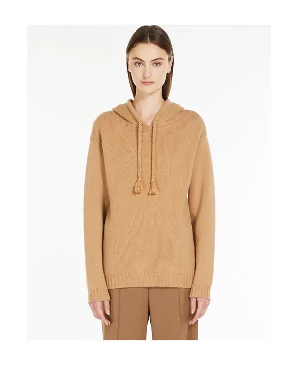Max Mara Hooded Sweater With Knitted Details