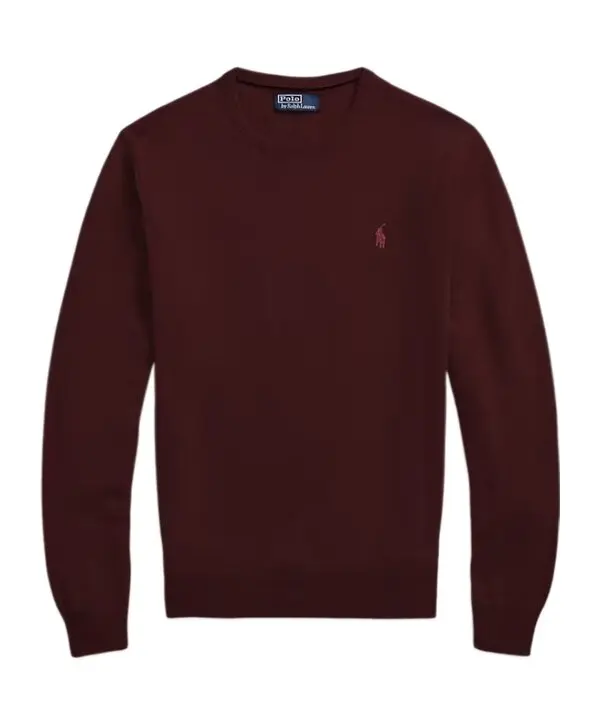 Polo Ralph Lauren Embroidered Crewneck Jumper - Brown