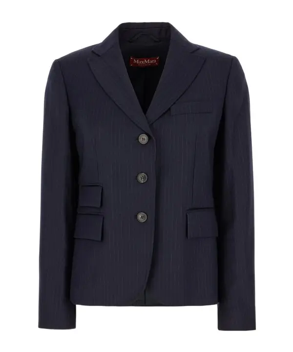 Max Mara Panino Single-breasted Blazer With Pin Stripes