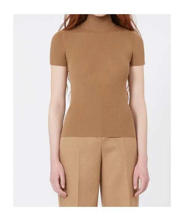 Max Mara High Neck Short Sleeve Jumper - Brown