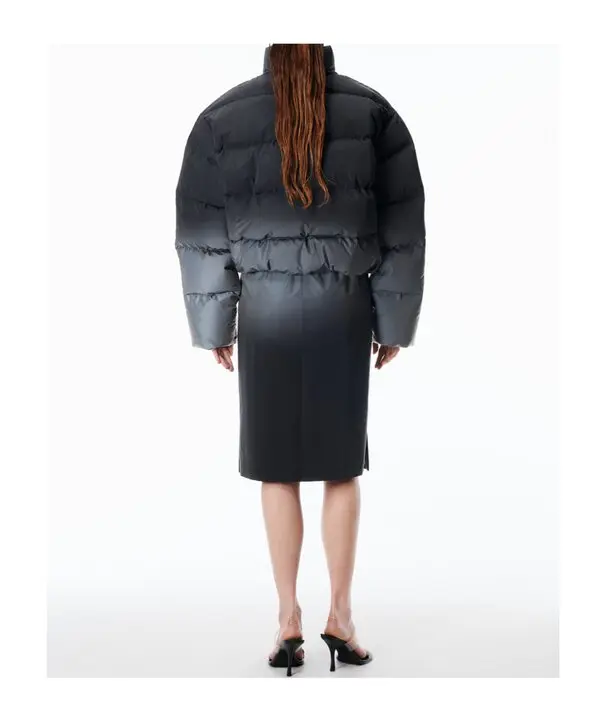 Alexander Wang Cropped Puffer Jacket - Silver/black