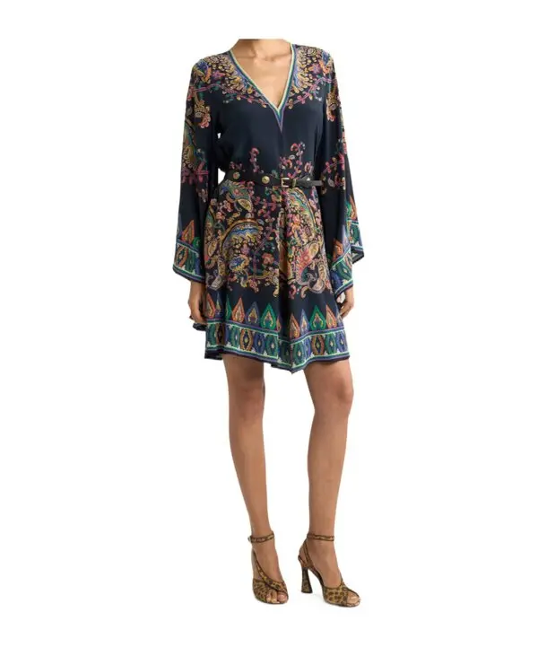 Etro Paisley-printed V-neck Long Sleeve Dress With Detachable Belt