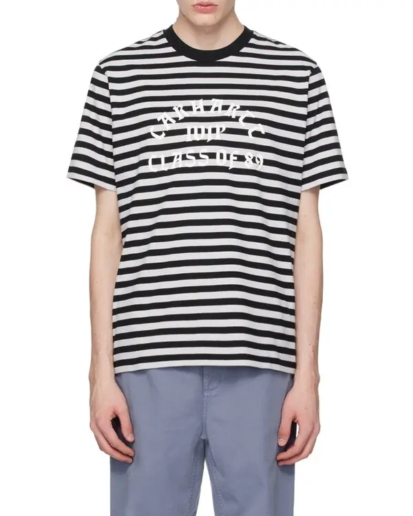 Carhartt Work In Progress Scotty Striped T-shirt
